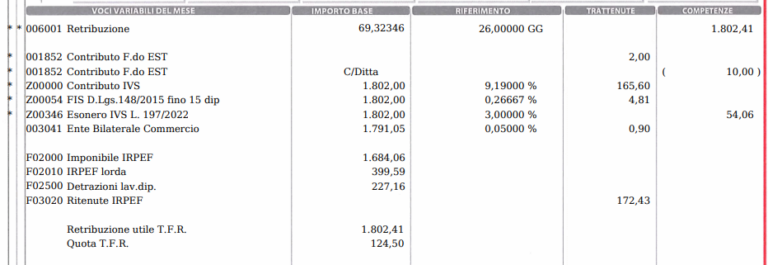 Come leggere la busta paga - P&S